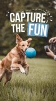 Goofy Dog Moments That Brighten Your Day – Health Care Tips For Your Pets